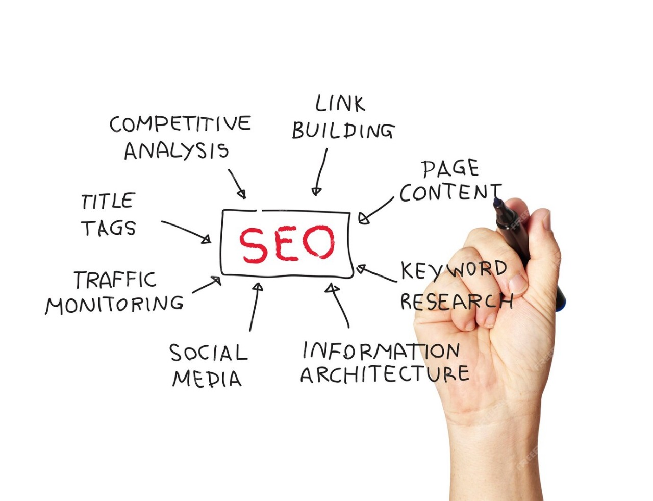 Best SEO Company in Delhi: Choose Right One for Your Business